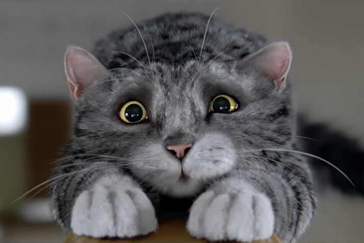 Mog - Mog’s Christmas Calamity - Sainsburys Xmas 2015 - DVDfever.co.uk