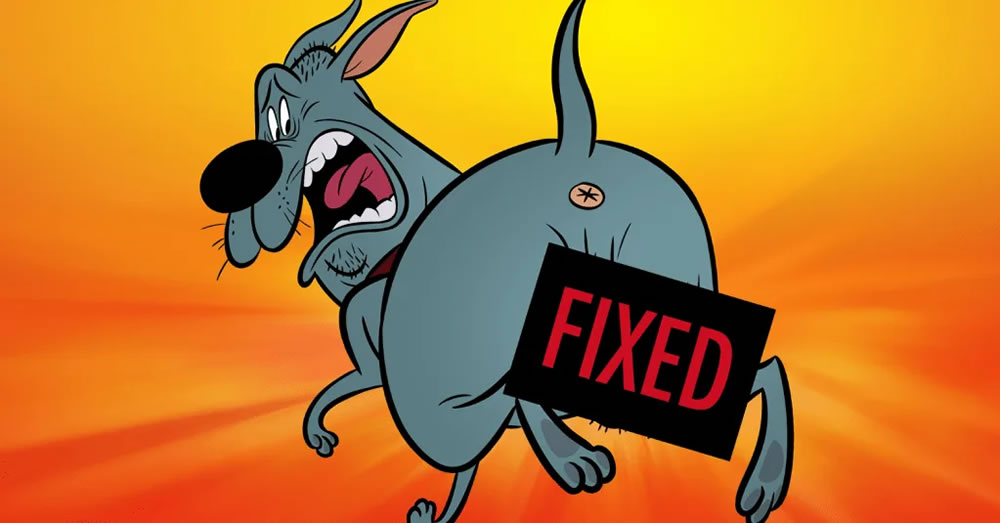 Fixed – Official Trailer – Adam Devine – Netflix - DVDfever.co.uk