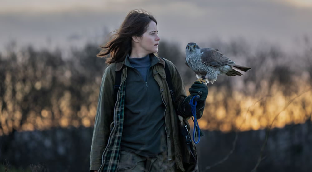 My BRUTALLY HONEST REVIEW of H IS FOR HAWK! - DVDfever.co.uk